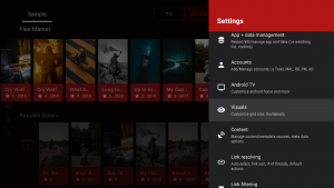 How to Install Syncler Android APK: TVZion Fork