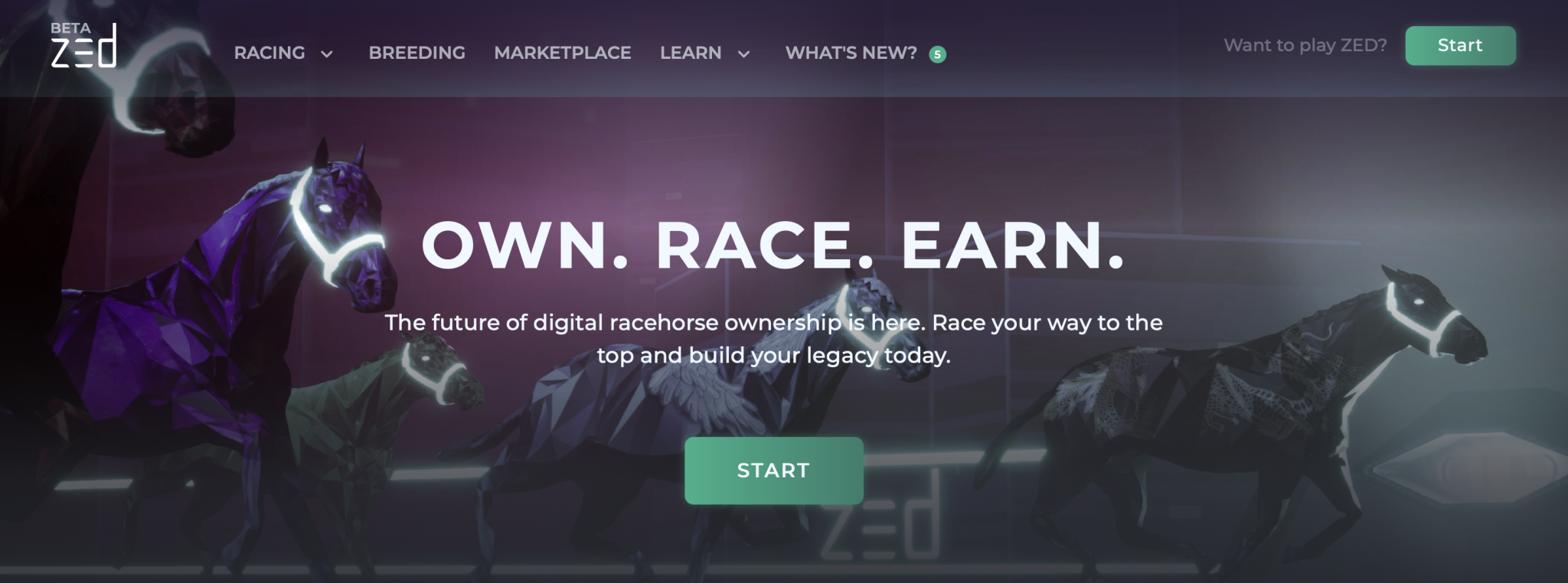 How to Play Zed Run: The Ultimate Step-by-Step Guide